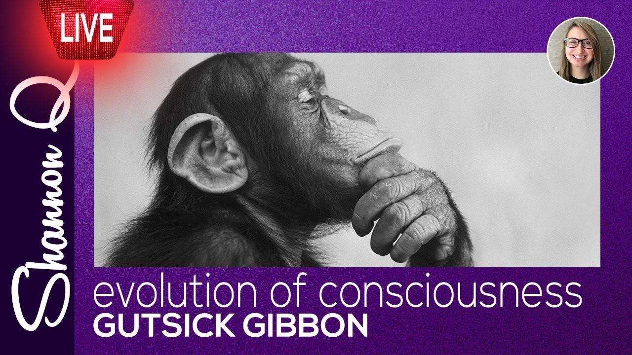 Evolution of cognition in primates with Gutsick Gibbon - YouTube
