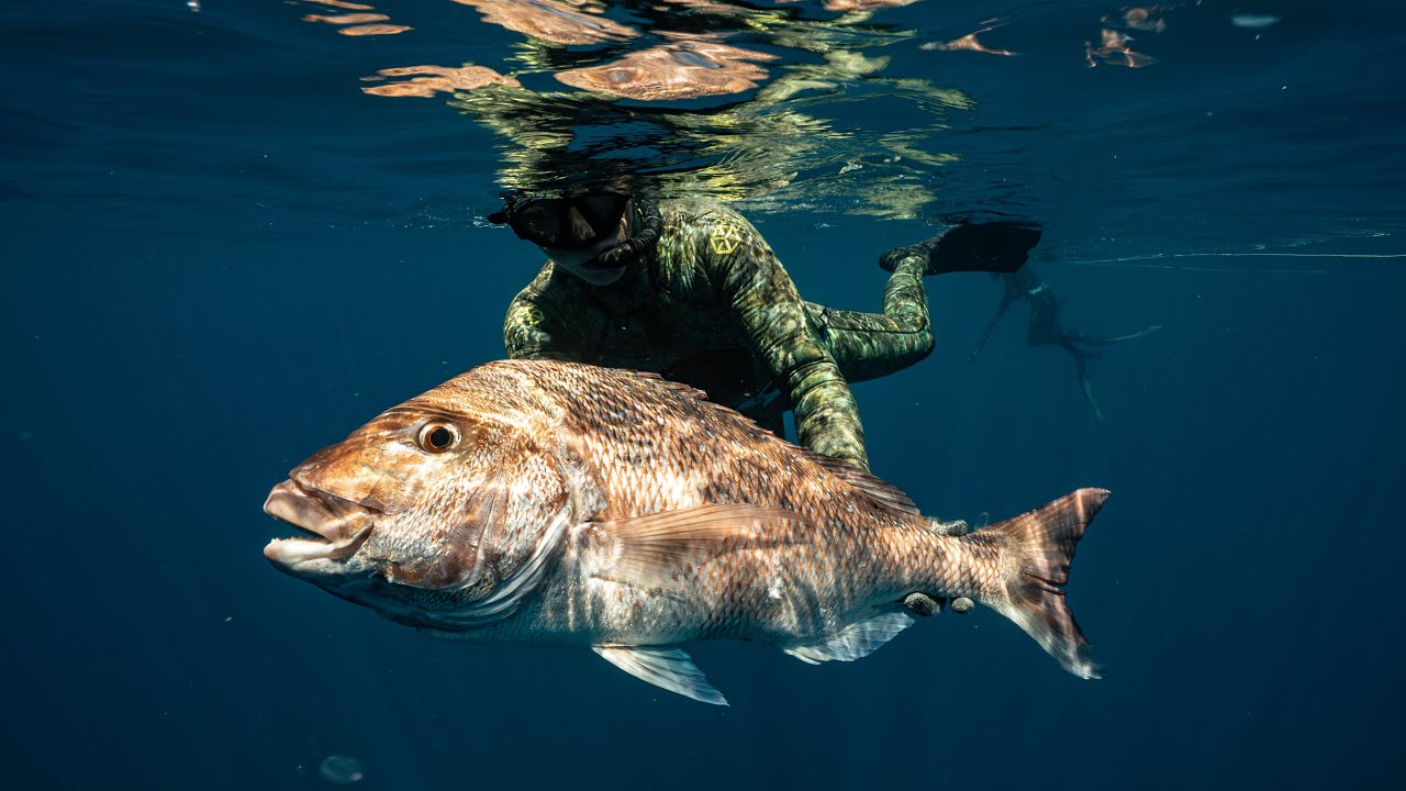8KG Snapper Stone Shot at 23 Meters! Spearfishing in North Island - New ...