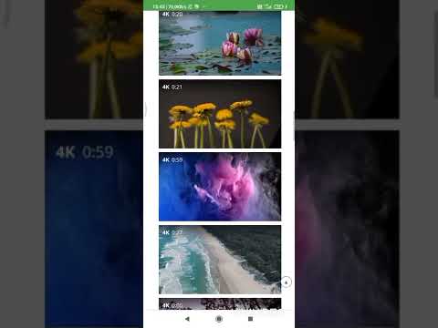 4K HD (TELİFSİZ) VİDEO VE RESİM - TEK TIKLA HD VİDEO İNDİR #PİXABAY #TELİFSİZVİDEOLAR #TELİFSİZ