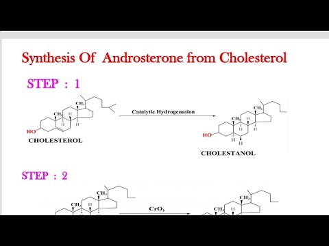 STRUCTURE ELUCIDATION OF ANDROSTERONE#ANDROSTERONE - YouTube