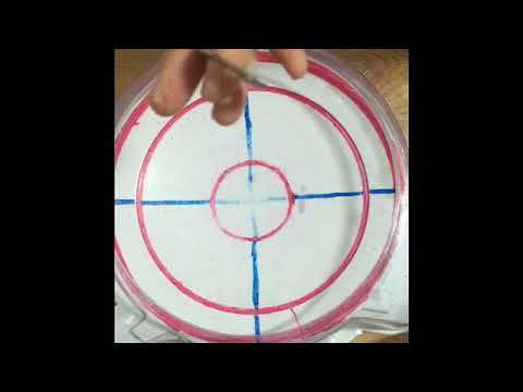 Level chip homemade beyblade - YouTube