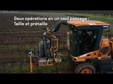 TAILLE RASE DE PRECISION - TRP OPTIMUM - PELLENC - YouTube