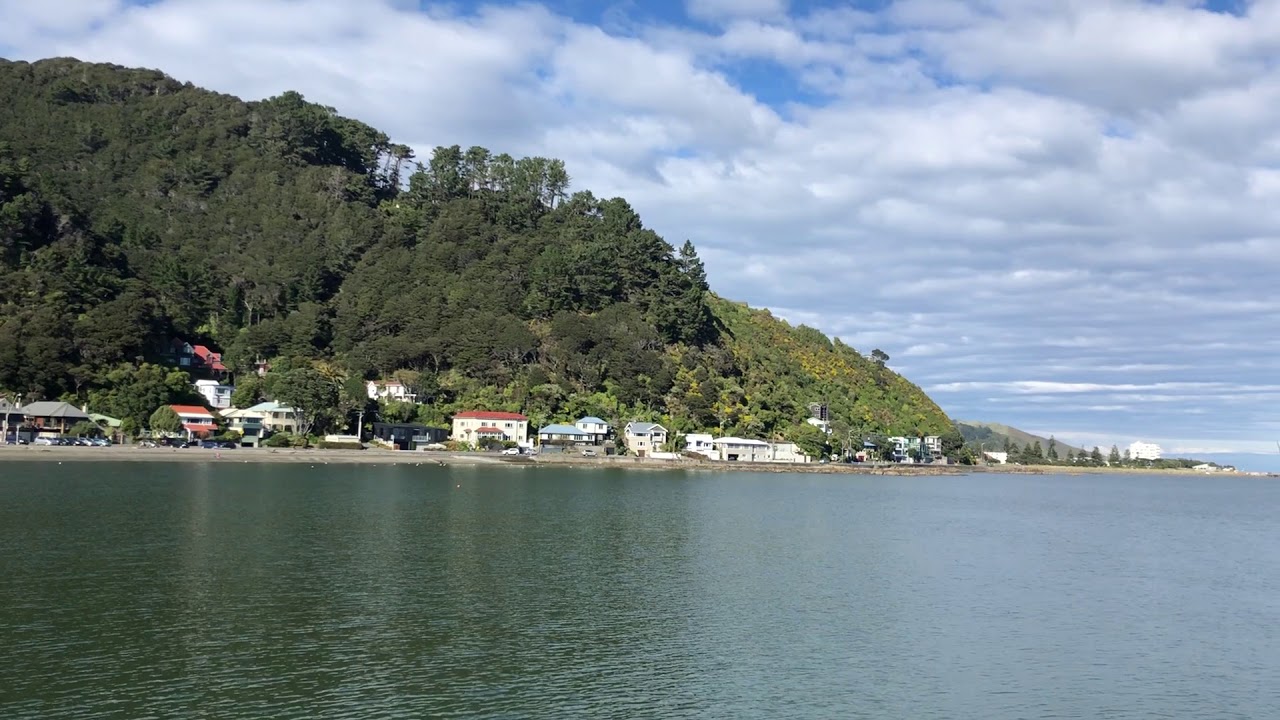Days Bay & Wellington Harbour from Days Bay Wharf - YouTube