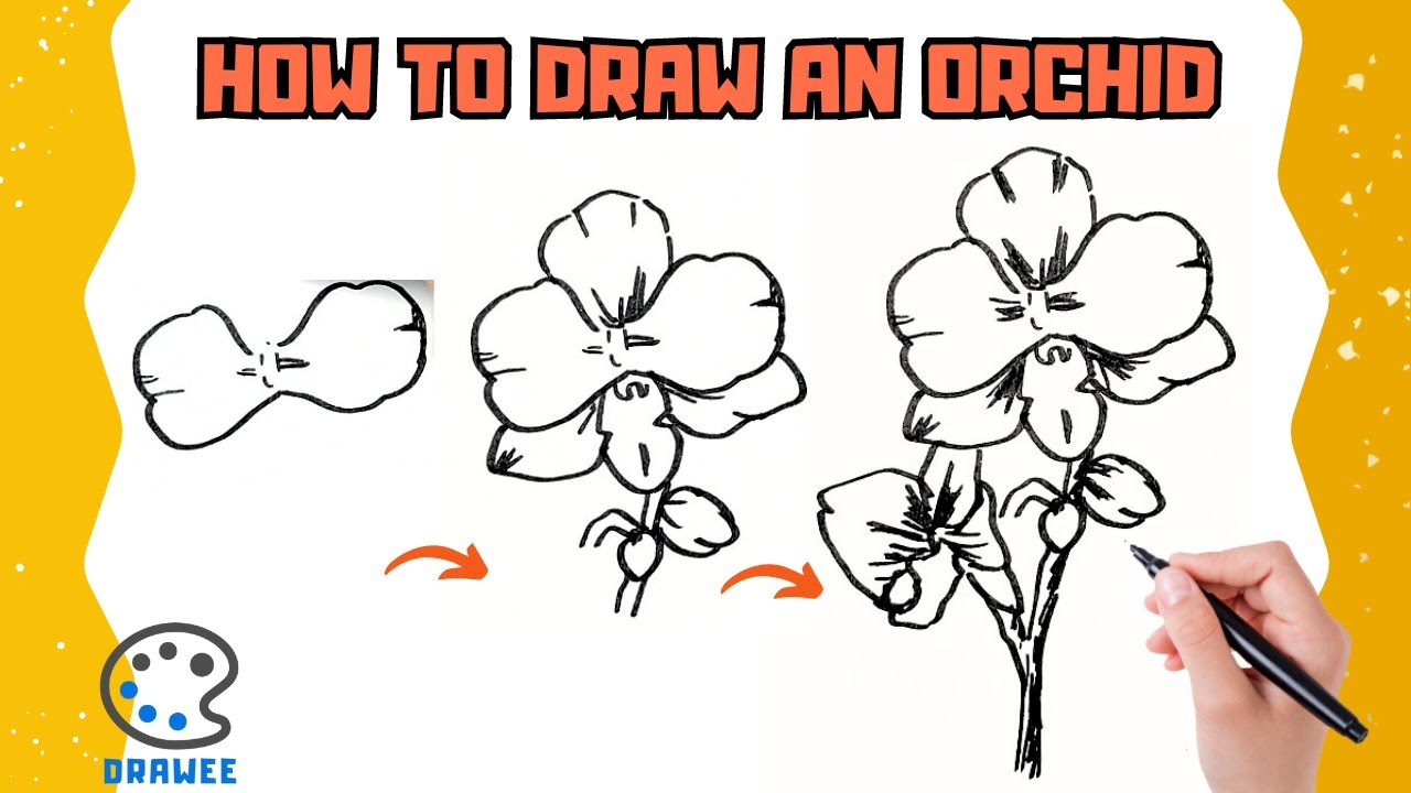 How to draw an Orchid - YouTube