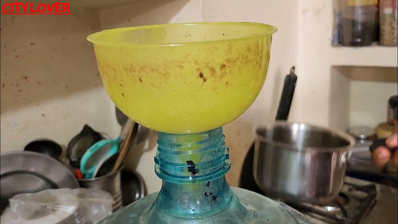 Learn How To Make Red Wine At Home With Black or Red Grapes Part 1 Home Made Red Wine Making ...