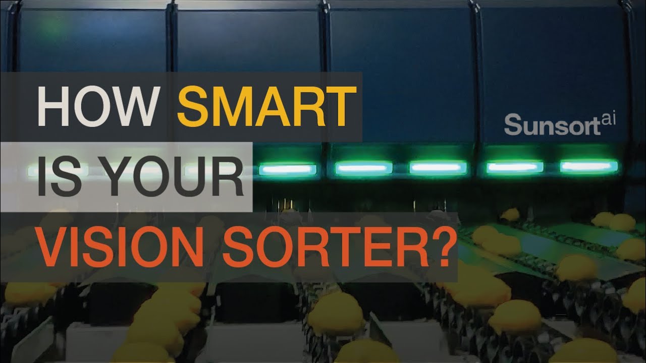 Smart Sorters Part 1: How Smart Is Your Sorter? - YouTube