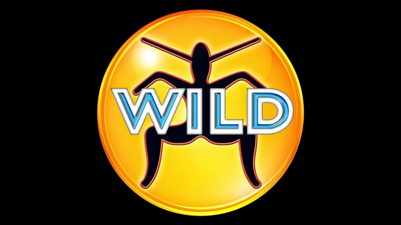 DJZee - Wild Megamix (First Draft) - YouTube