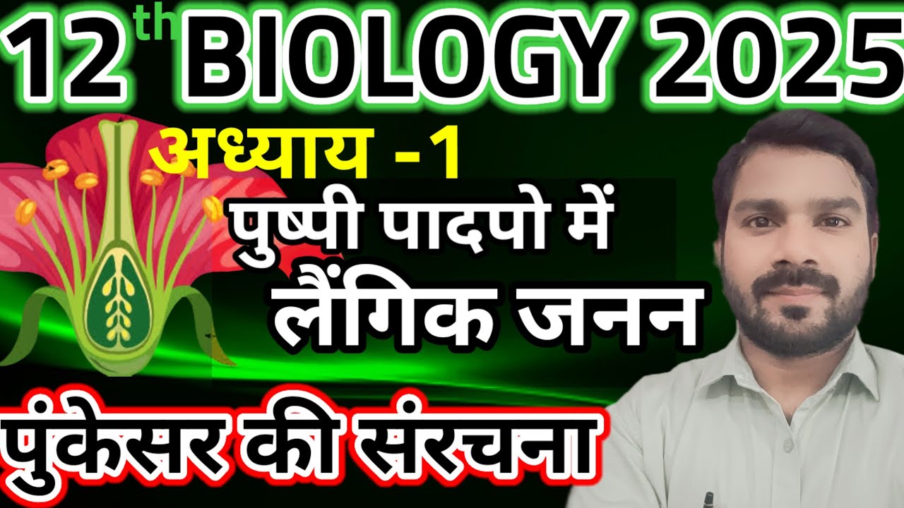 Structure of anther | structure of anther class 12 | sexual ...