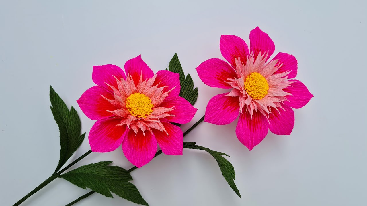 How To Make Dahlia Paper Flower 2 Paper Flower G c Nh Handmade YouTube how-to-make-dahlia-paper-flower-2-paper-flower-g-c-nh-handmade-youtube