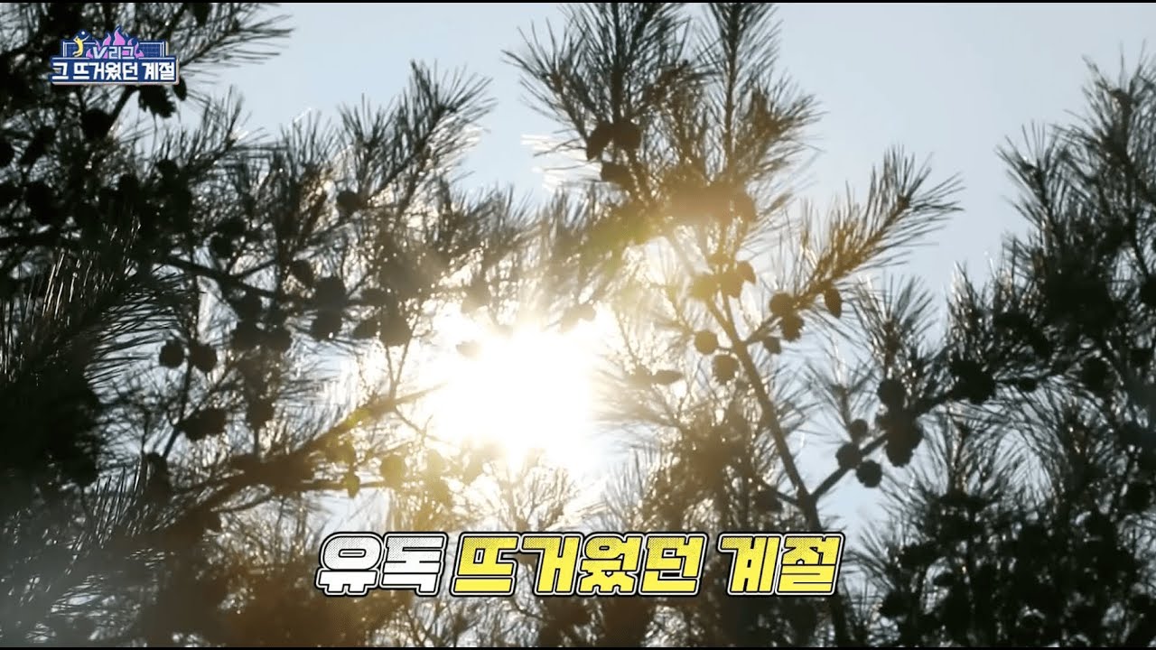 24 25 V 리그 남자부 개막특집 V리그 그 뜨거웠던 계절 Youtube