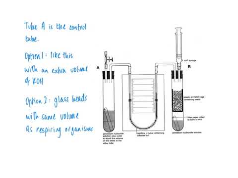 Respirometer (2.8) - YouTube