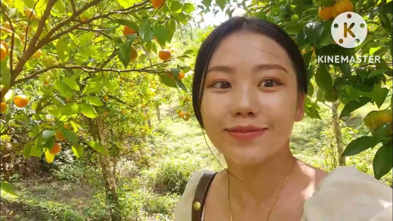 Hnub no peb mus noj txiv ຫມາກກ້ຽງ os qab thiab lom zem kawg li 11/12/22 - YouTube