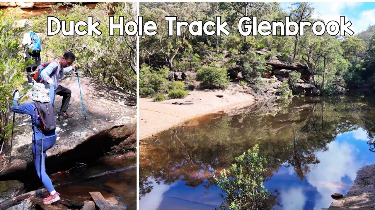 Bush Bashing, Rocks Scrambling along Duck Hole Track Glenbrook, Blue ...