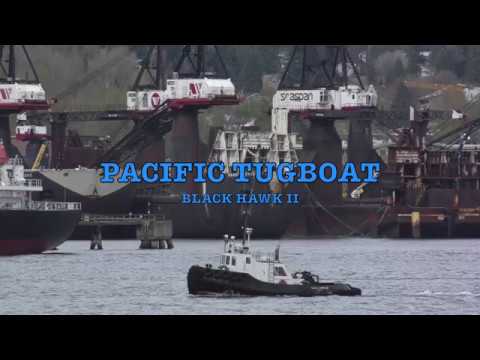 PACIFIC tugboat BLACK HAWK II 2019 - YouTube