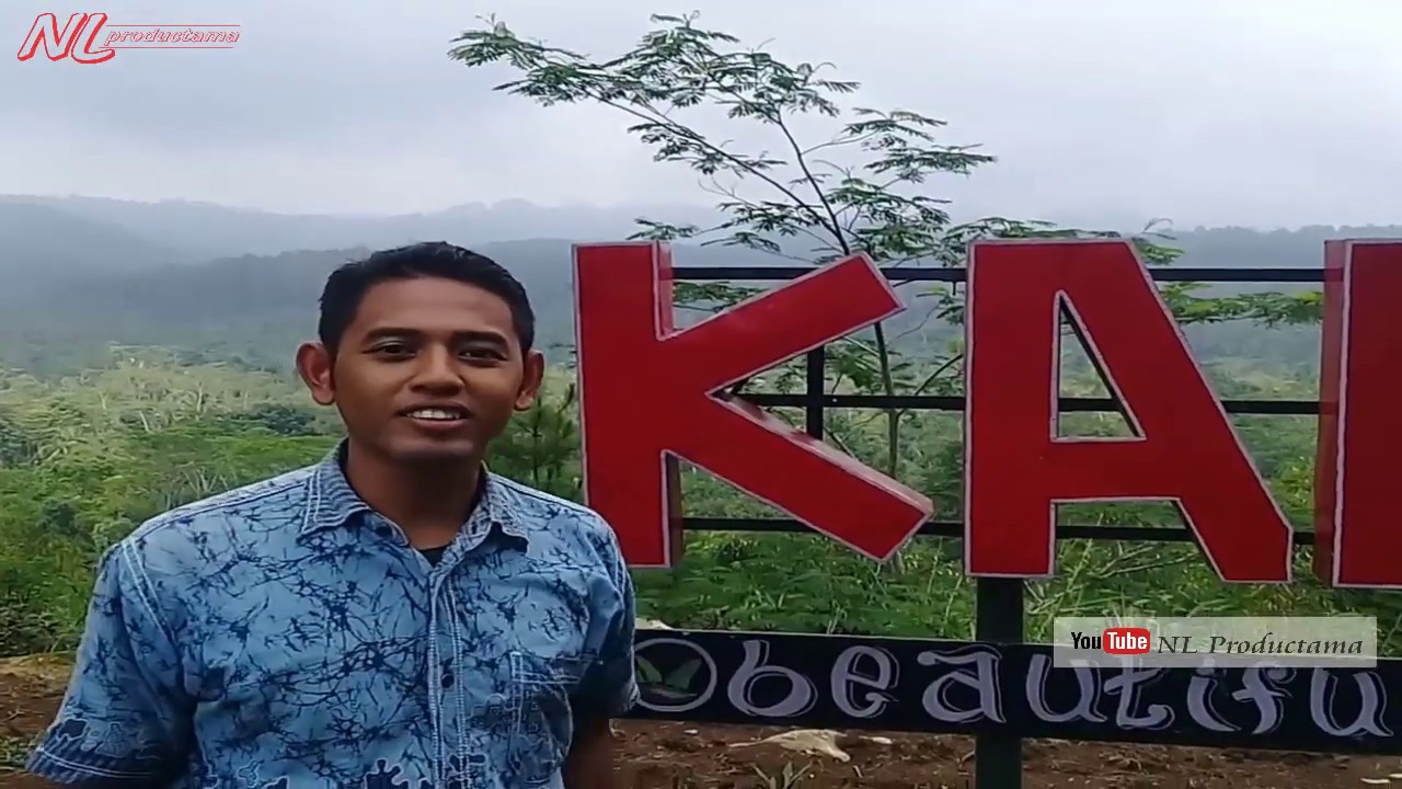 Wisata Hutan Pinus Kalilo Purworejo - YouTube