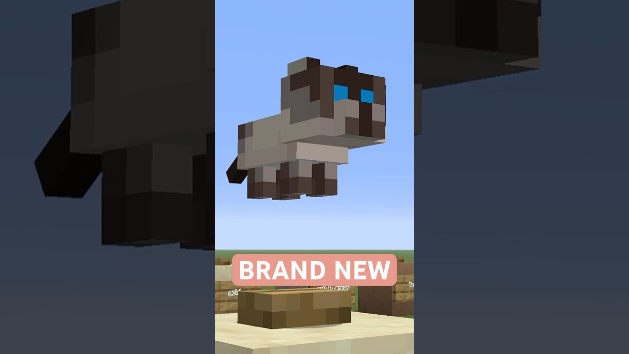 Siamesisk Katt Minecraft Better Siamese Cat Minecraft Resource Pack