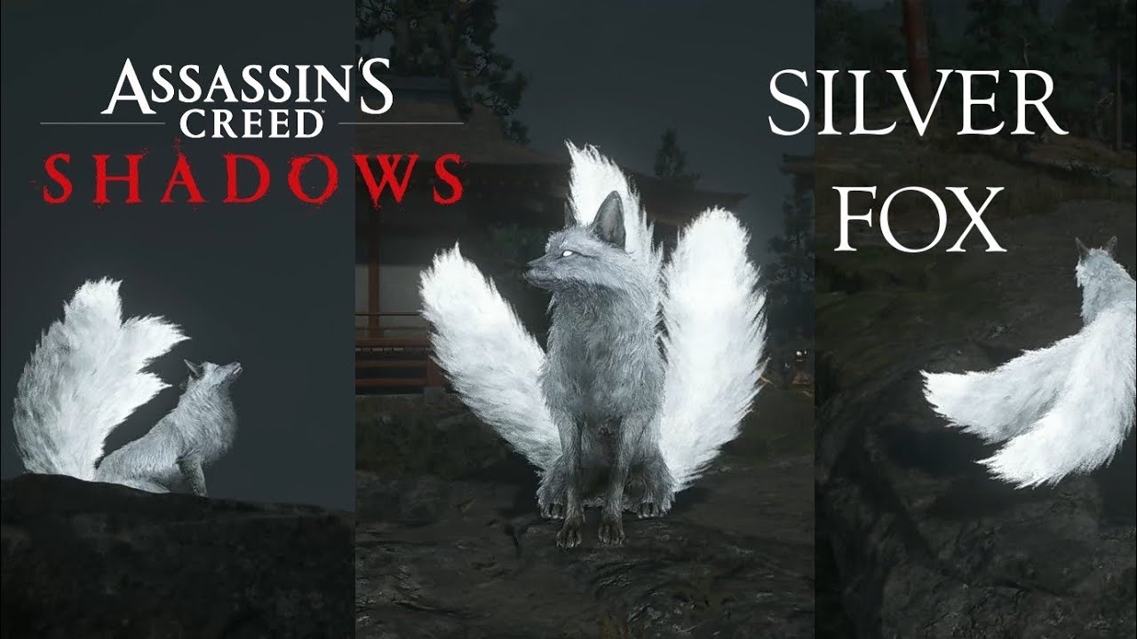 Assassin's Creed Shadows: Sumi-e Silver Fox - YouTube