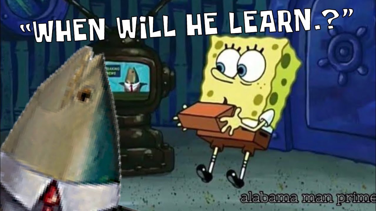 Spongebob gets roasted by local news fish Johnny Elaine - YouTube
