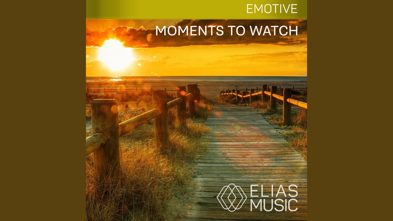 Searching For Signs - YouTube