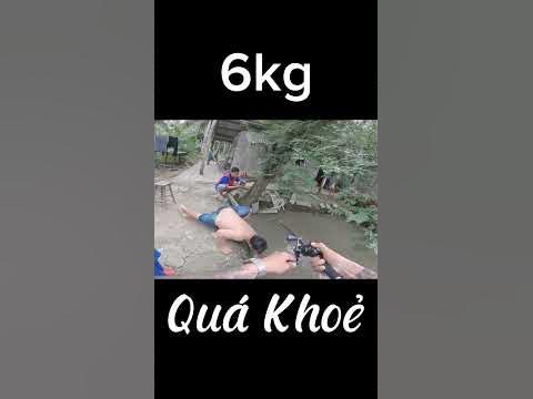 6kg quá khoẻ #@Danglureloc #shots #caucalocvn #caulurecaloc - YouTube