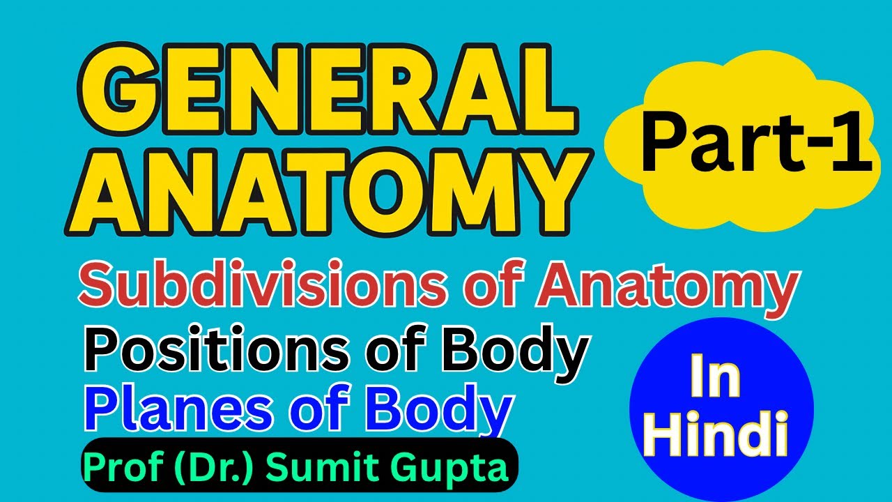 General Anatomy | Subdivisions | Body positions | Planes in Hindi - YouTube