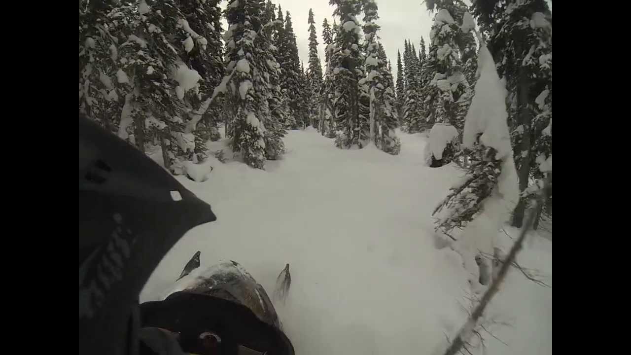Morning Glory Tree Poke- Clemina Creek - Valemount - YouTube
