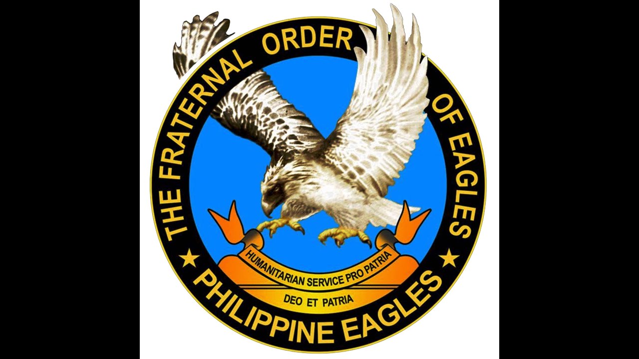 TFOE-Philippine Eagles - NMR 7 Feeding program - YouTube