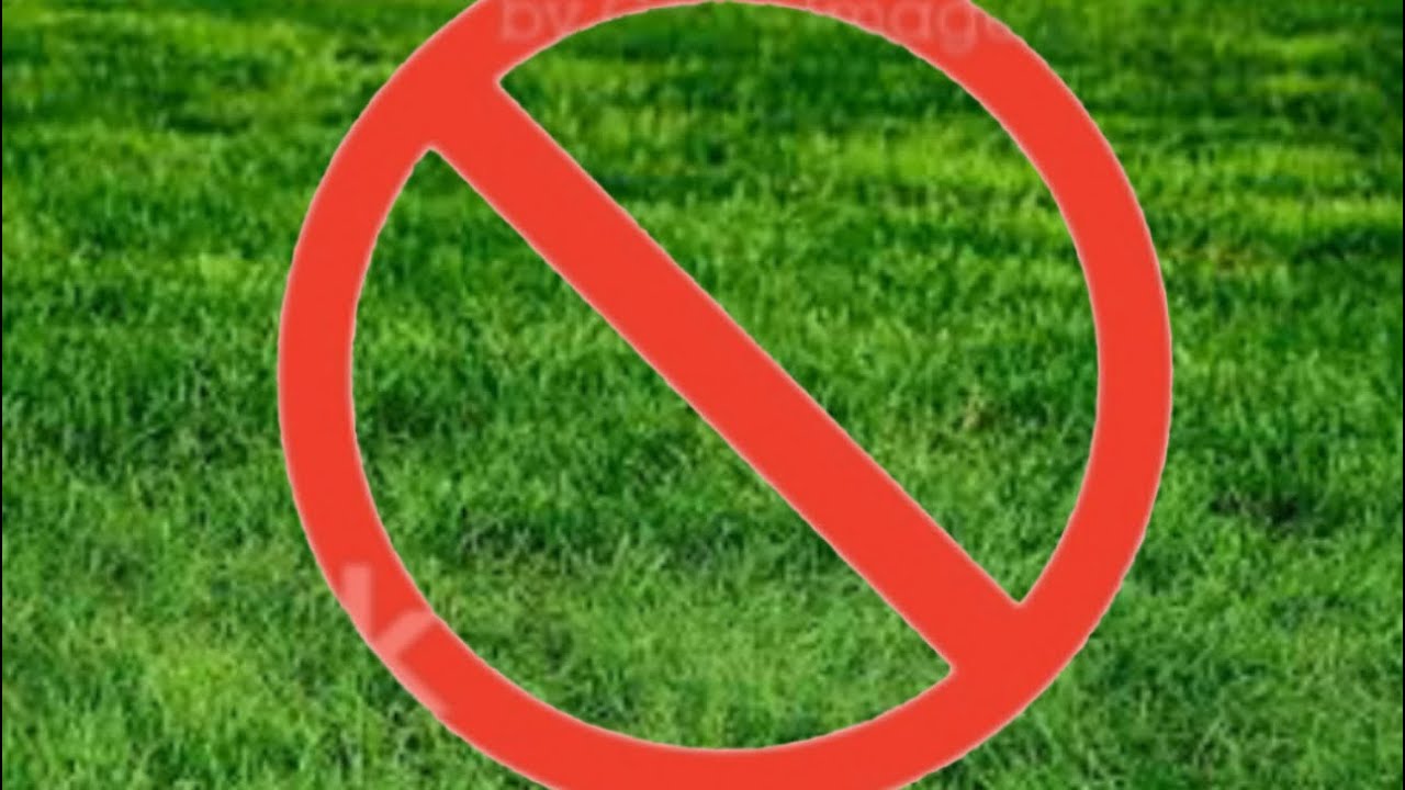 Top 10 reasons not to touch grass - YouTube