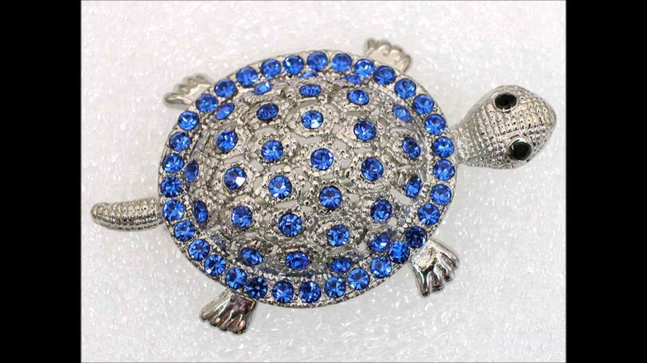 turtle slide show - YouTube