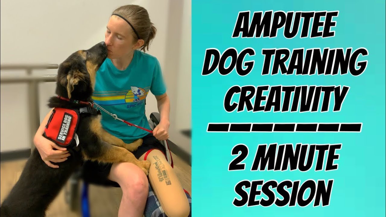CRPS Amputee’s Adaptive Dog Training: 2 Minute Session - YouTube