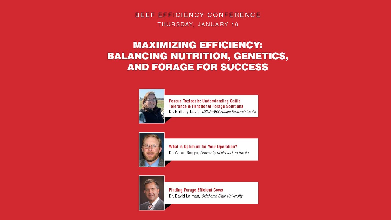 Beef Efficiency Conference 2025: Q&A with Dr. Brittany Davis, Dr. Aaron ...