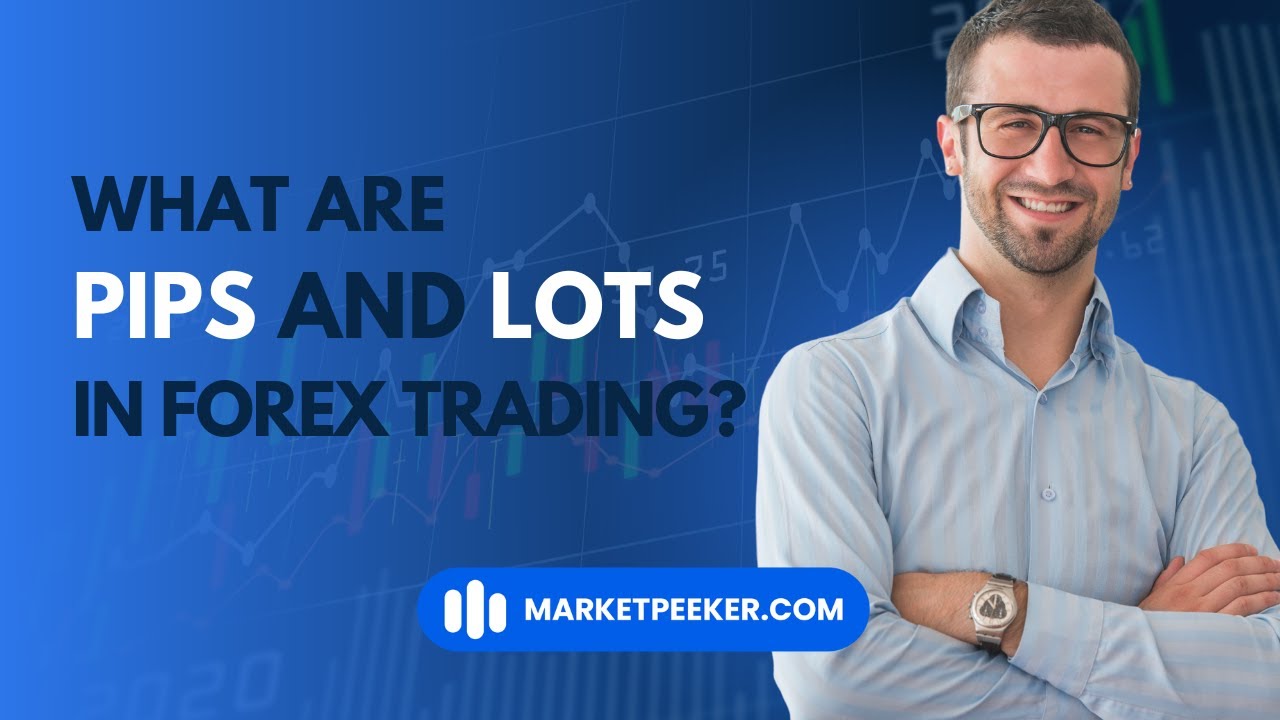 What Are Pips and Lots in Forex Trading? Simple Guide for Beginners ...