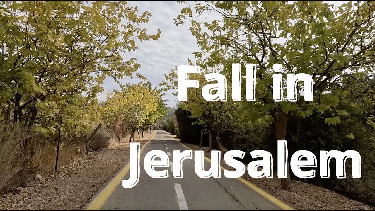Jerusalem’s Autumn Scenery by Bike. Fall Bike Route - YouTube
