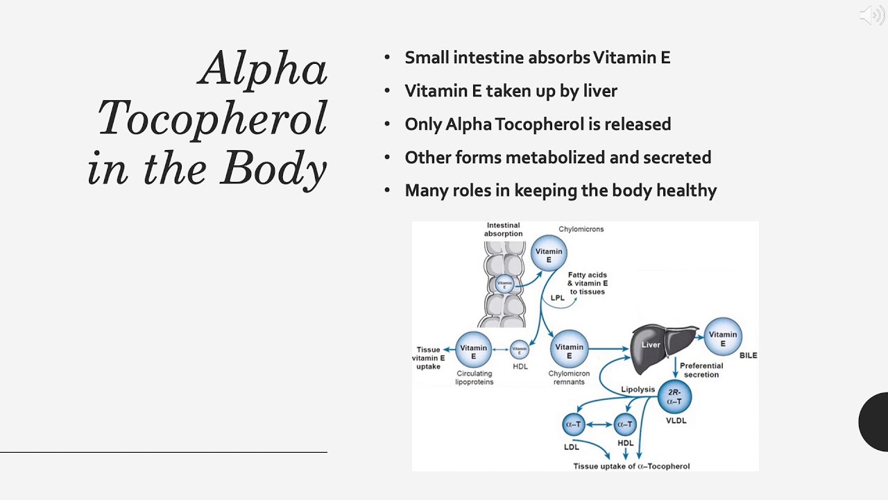 Taylor Arndt Nutrigenomics Vitamin E - YouTube