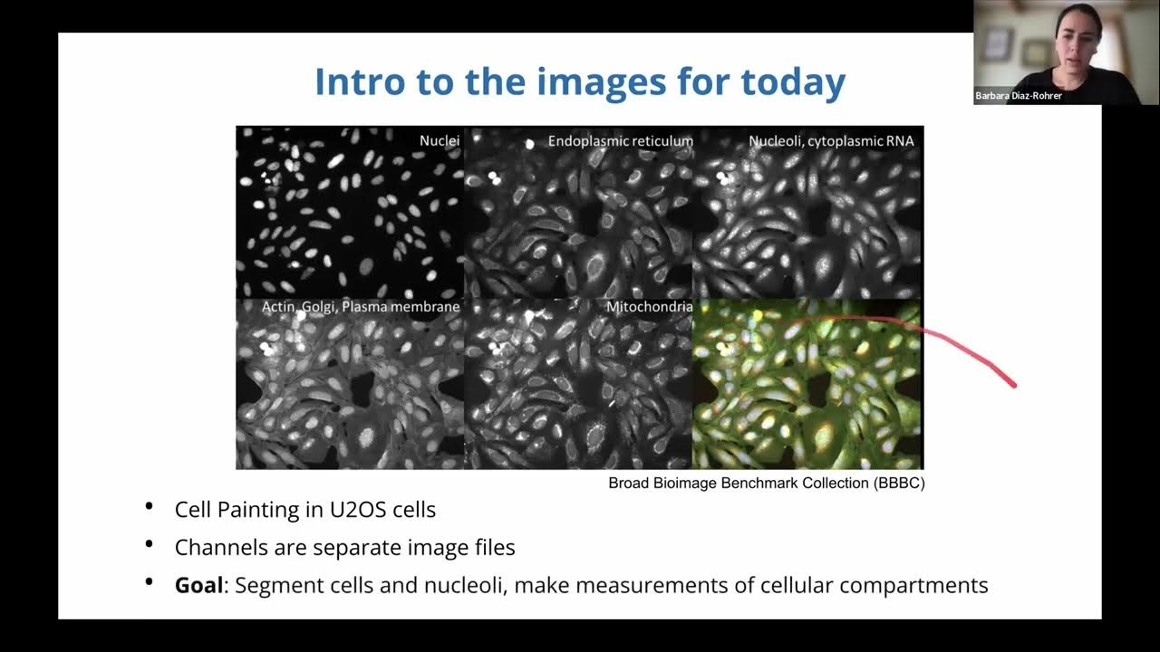 Intro to CellProfiler - YouTube