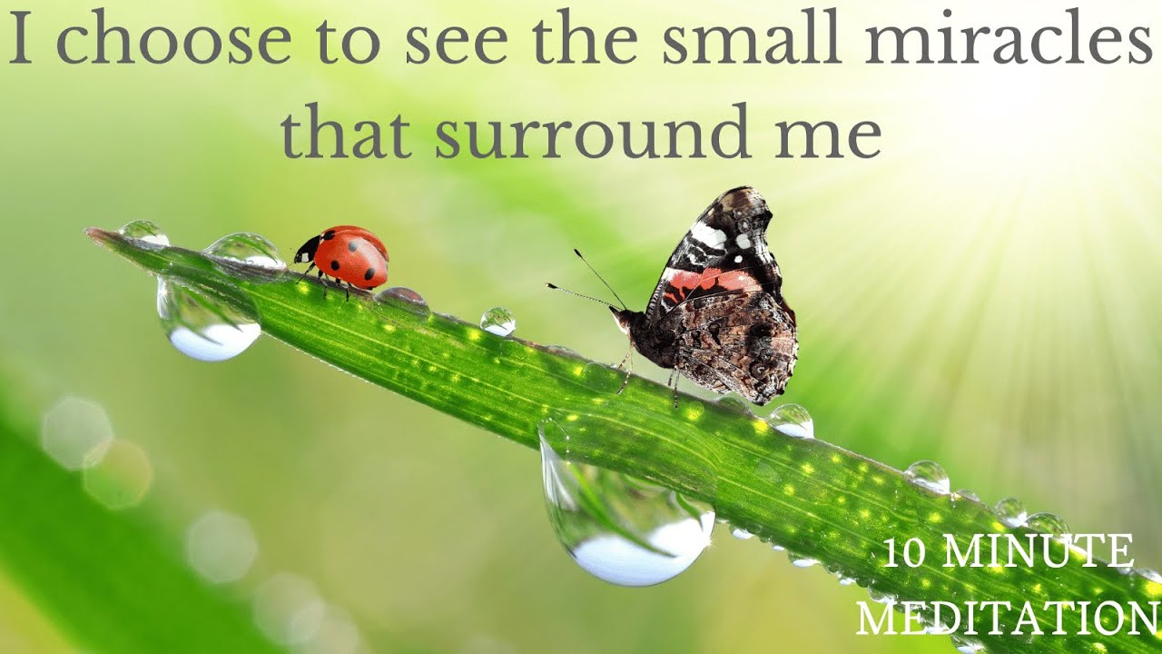 I choose to see the small miracles that surround me - Affirmations for ...