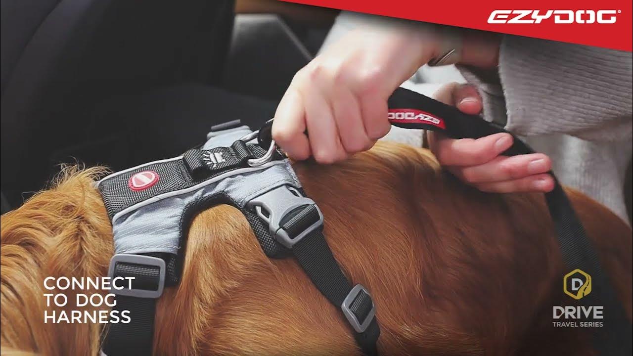 EzyDog ISOFIX Car Attachment Video for your Dog - YouTube