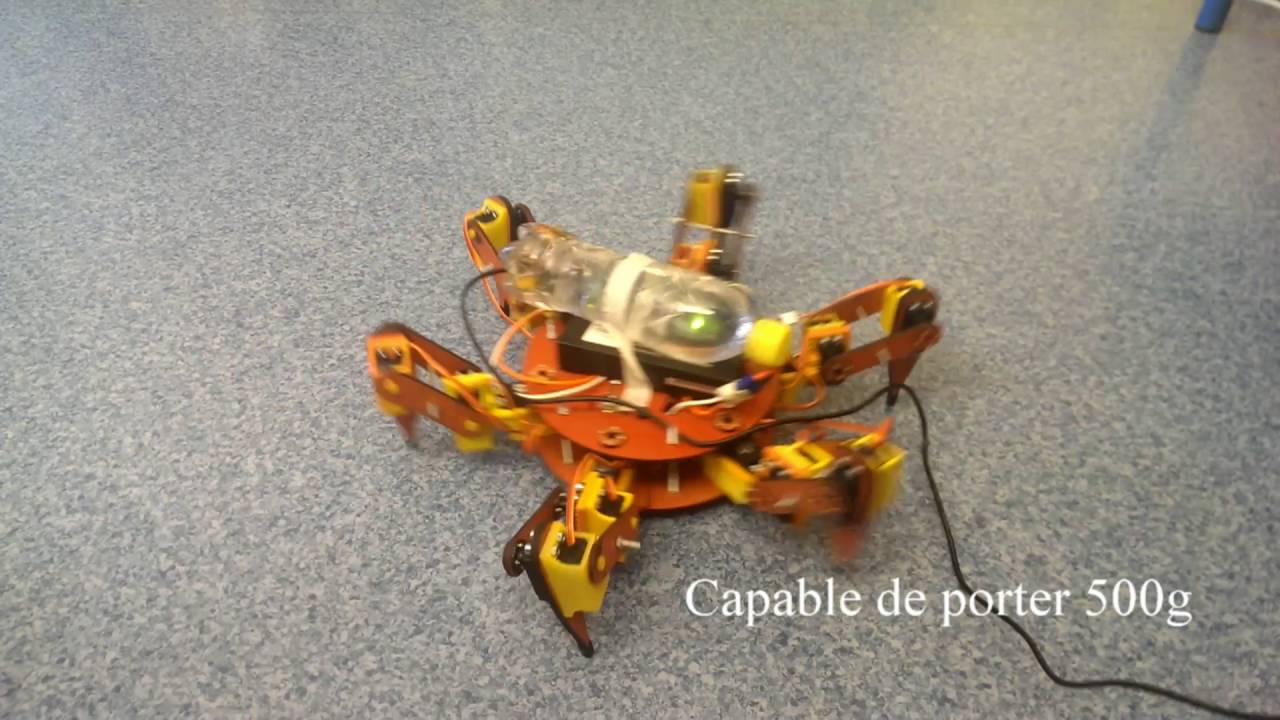 Arduino 3d printed hexapod -FPMs - YouTube