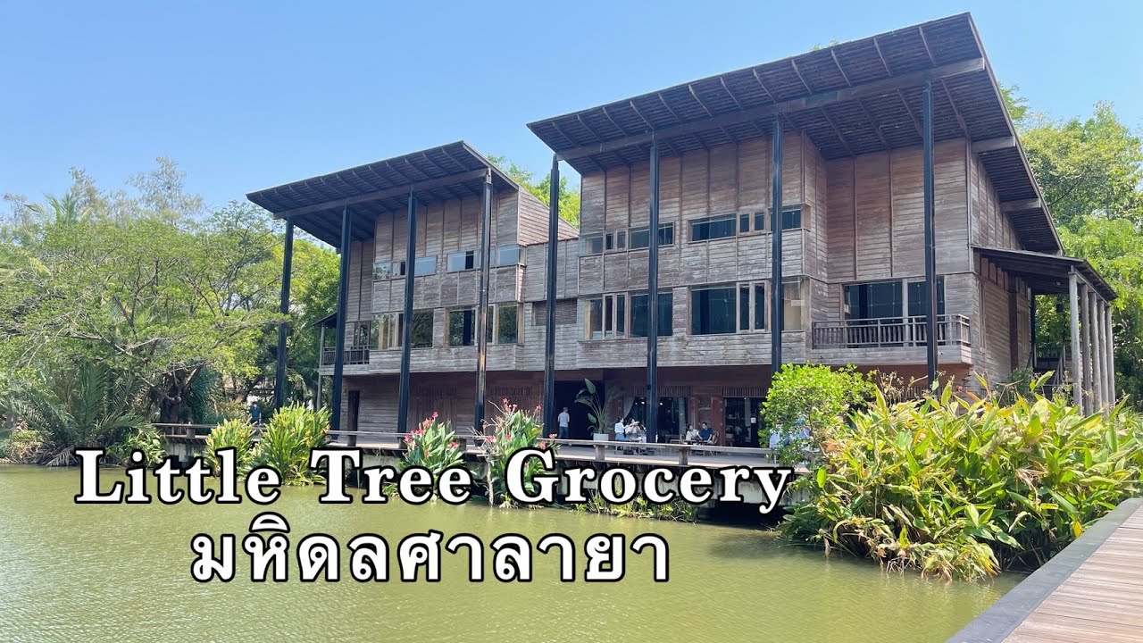 ไปเฟ่ดีฟ่า EP.42 Little Tree Grocery @มหิดล ศาลายา - YouTube
