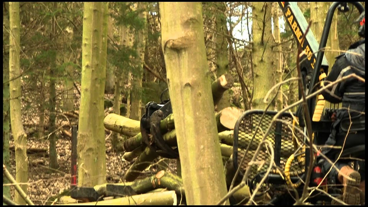 Extracting Timber with Small Scale Equipment - YouTube