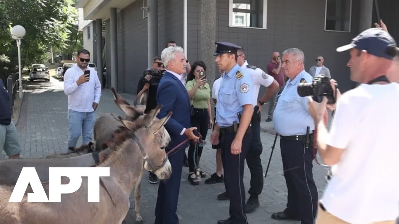Donkeys Join Protest Over Kosovo’s Political Deadlock | APT - YouTube