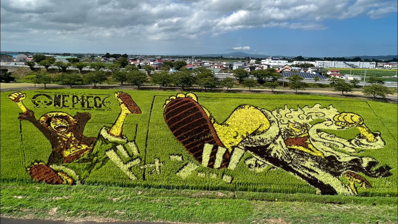 Amazing One Piece Rice Paddy Art in Aomori Japan 🇯🇵 - YouTube