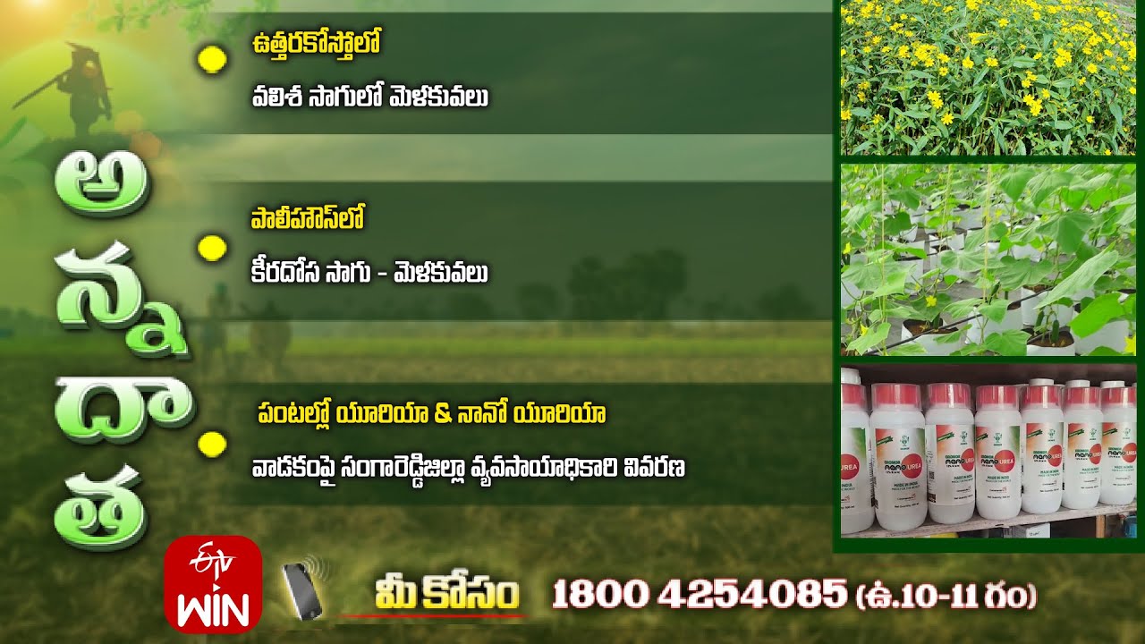 1st October 2025 | Annadata | అన్నదాత | Full Episode | ETV Telugu - YouTube
