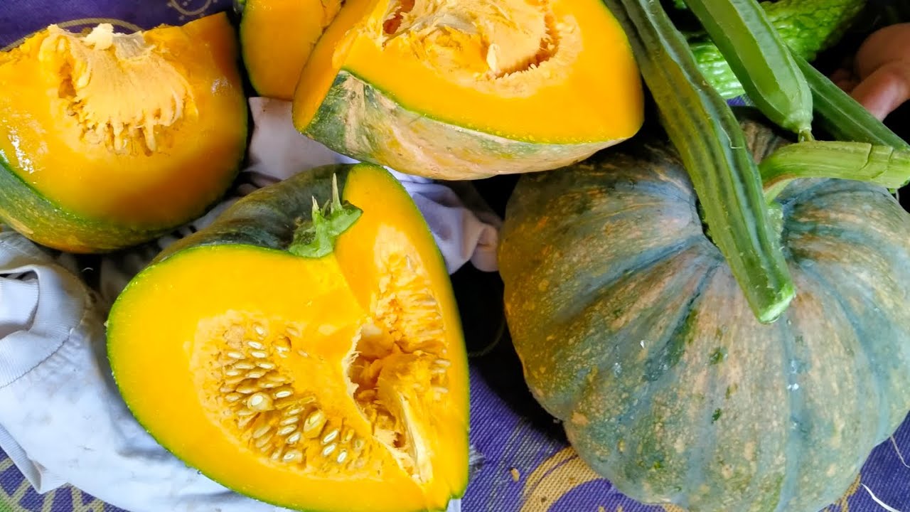 Panen 2 Buah Labu Dari Kebun, Gambas, dan Satu Buah Pare || Masak Labu ...