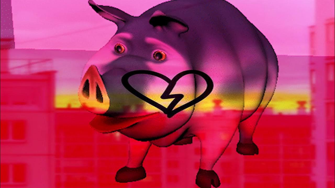 Фотографирую кабанчика - YouTube