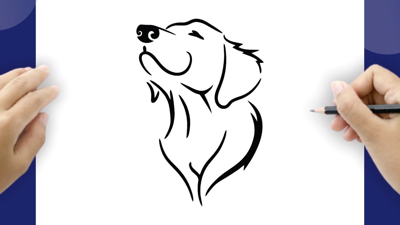 Hur man ritar en varg - Steg för steg guide - YouTube