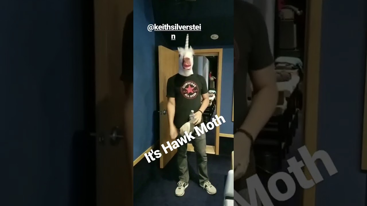 🐞Miraculous🐞¡Keith Silverstein (Voz de Gabriel/Hawk Moth) en la sala ...