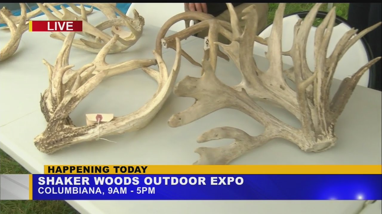 Deer farm vendor: Valley View Velvet Whitetails - YouTube