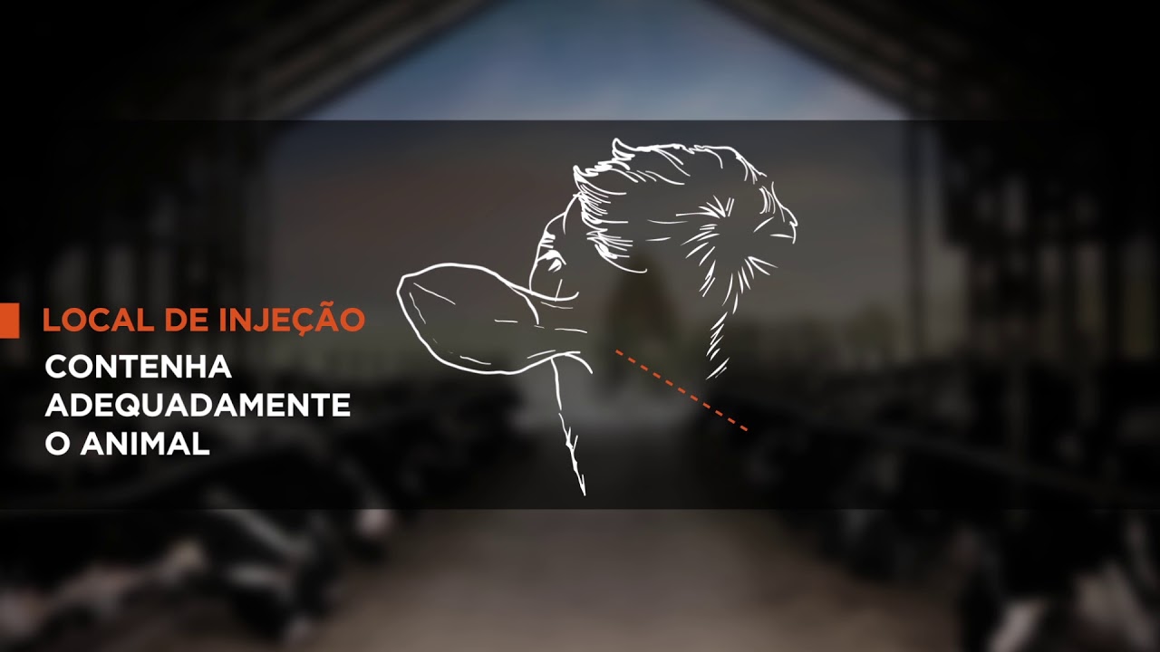 Conheça em detalhes como realizar a aplicação de Excede - YouTube