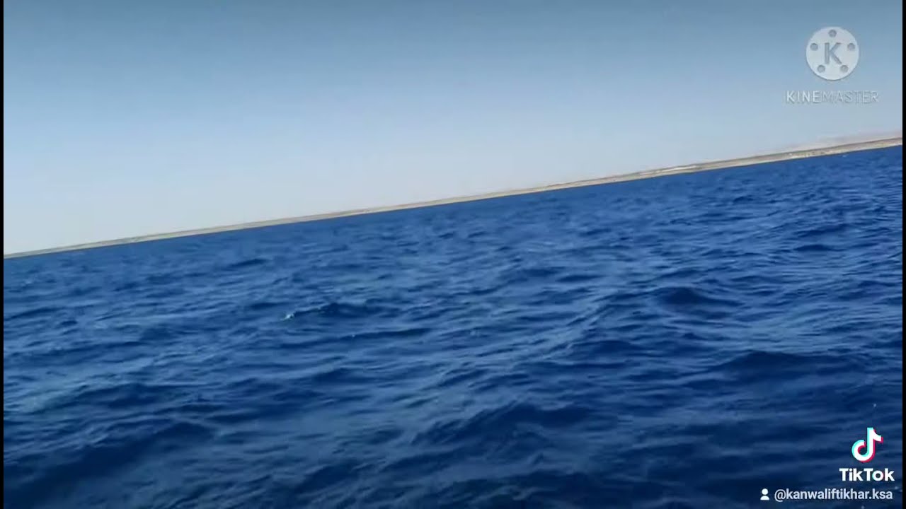 ocean beauty # beautiful sieght umluj beach# boating # redsea# Maldives ...